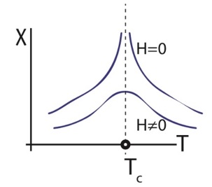 Zero-field singularity of magnetic susceptibility in a 4-D Ising model ...